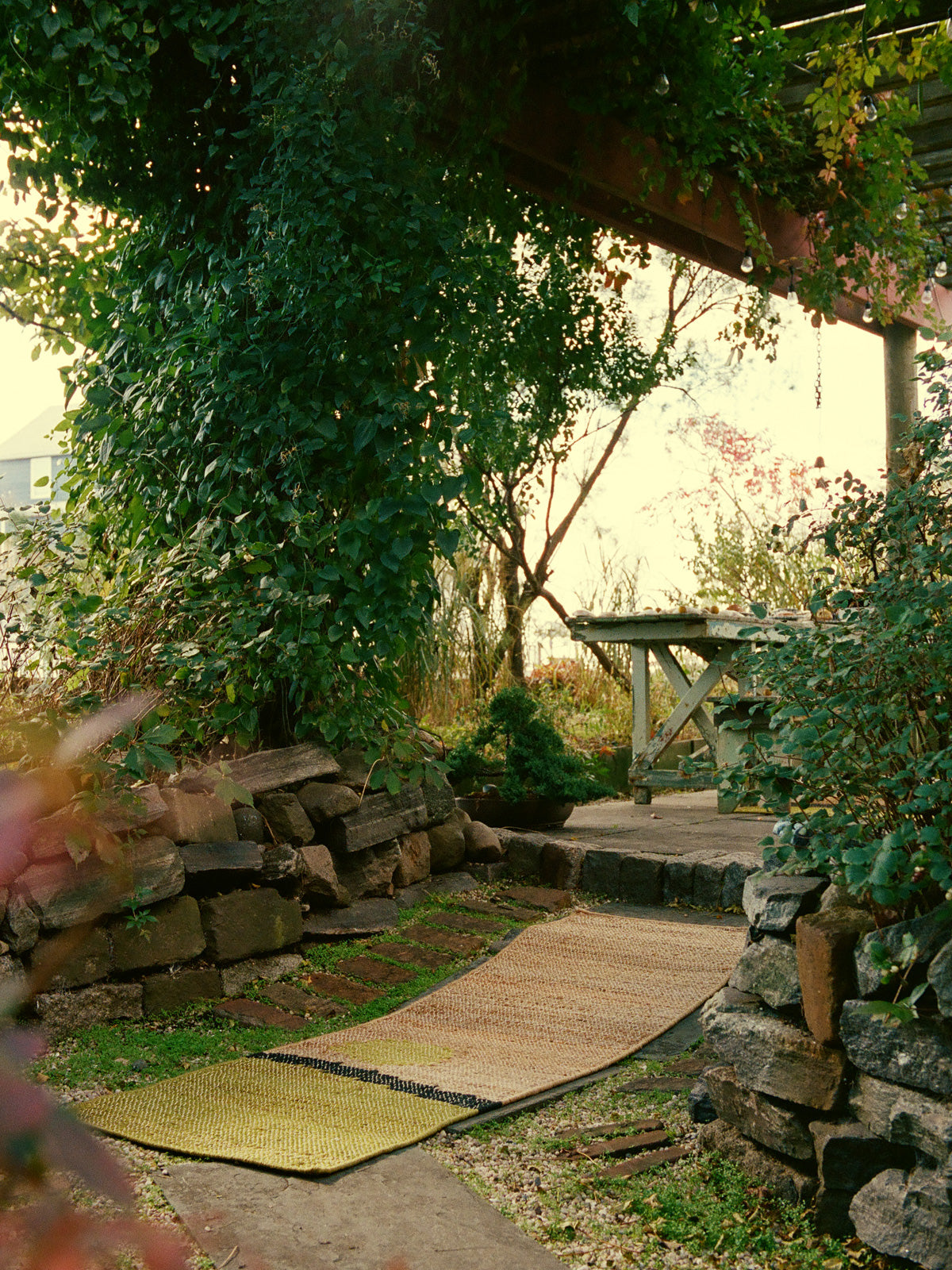 Collections – Cold Picnic